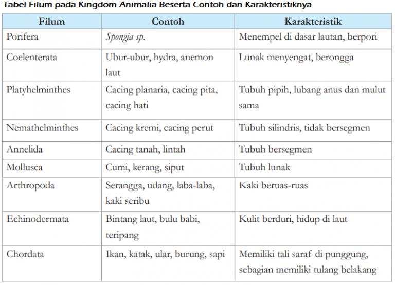 Klasifikasi Makhluk Hidup Kingdom Plantae dan Animalia - Berikut.id